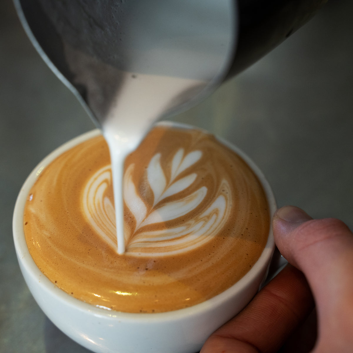 Throwback Blend - Small Batch Coffee Roasters