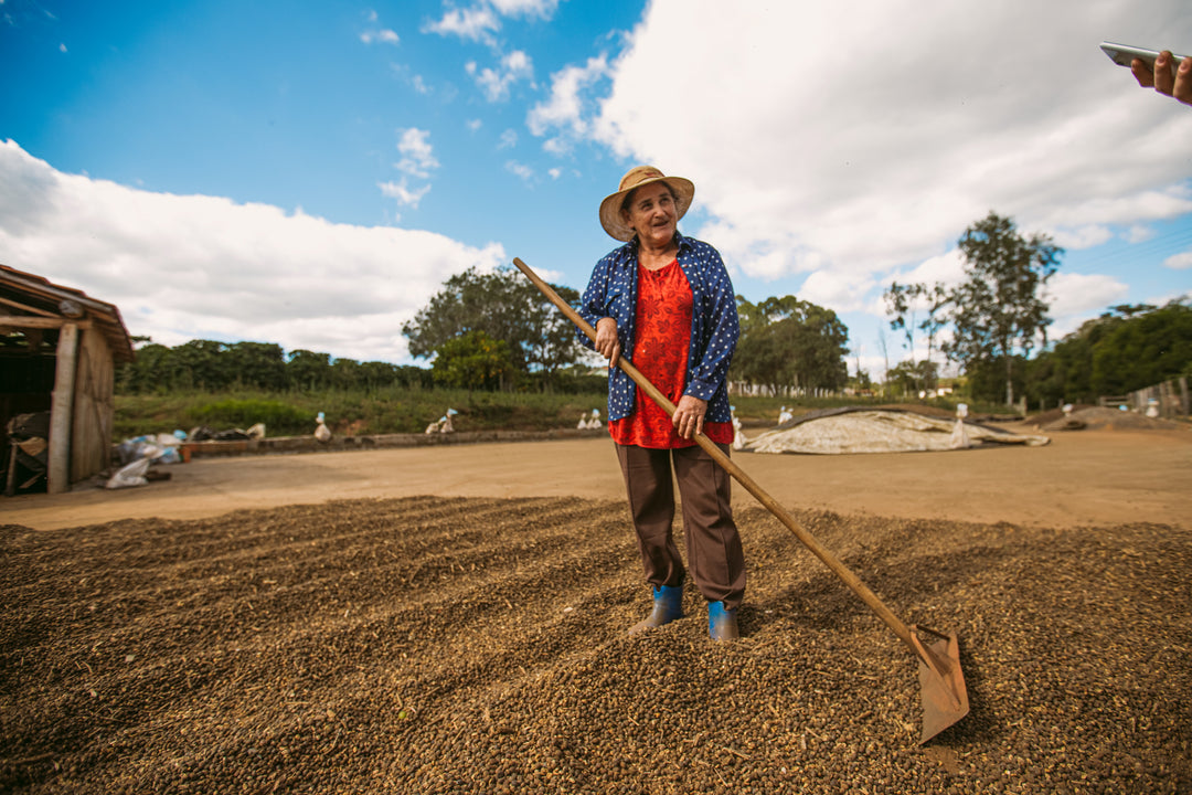 Throwback Blend - Small Batch Coffee Roasters